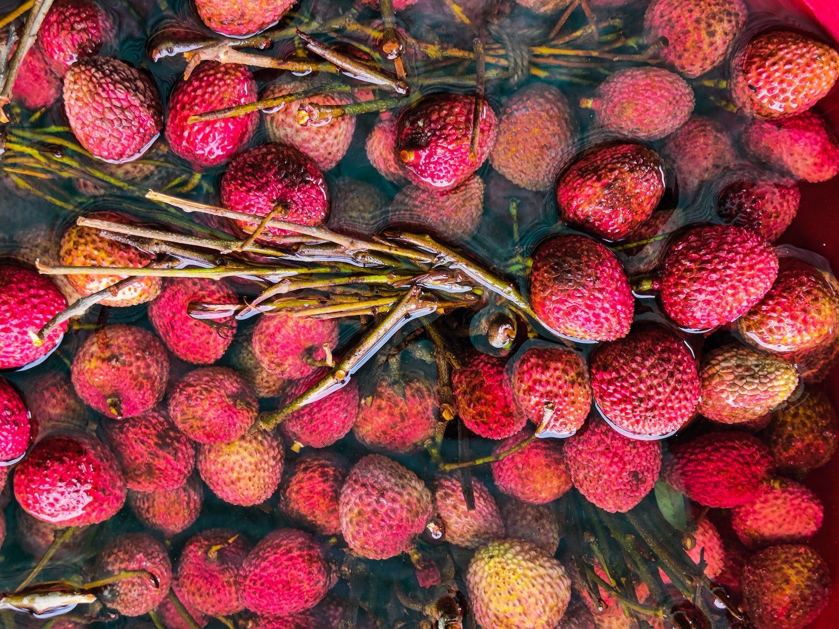 Contraindicaciones Del Lichi » ¿Venenoso?, ¿Debemos Evitarlo?