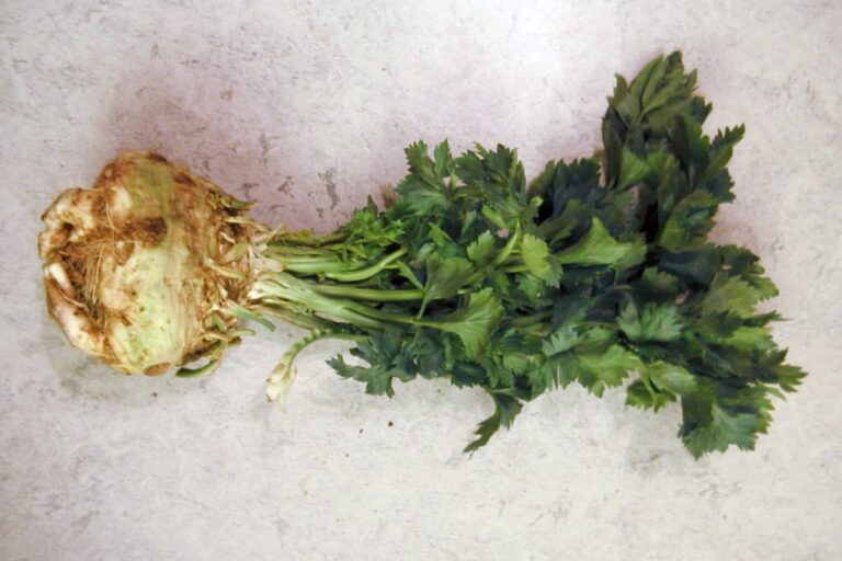 MACA » Propiedades, Beneficios, Vitaminas Y Contraindicaciones