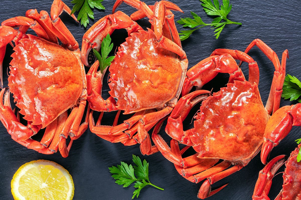 CÓMO COCER CENTOLLO + TIEMPO DE COCCIÓN