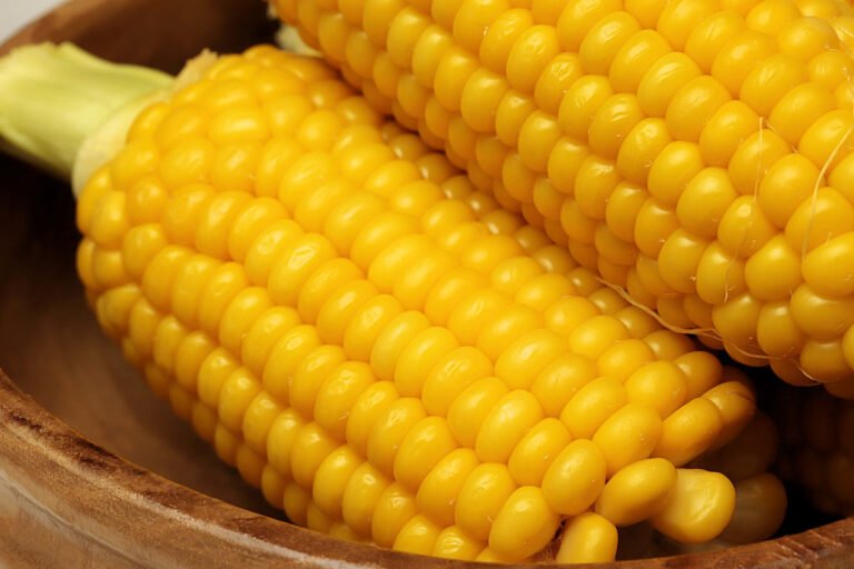 CÓMO COCER ELOTES + TIEMPO DE COCCIÓN