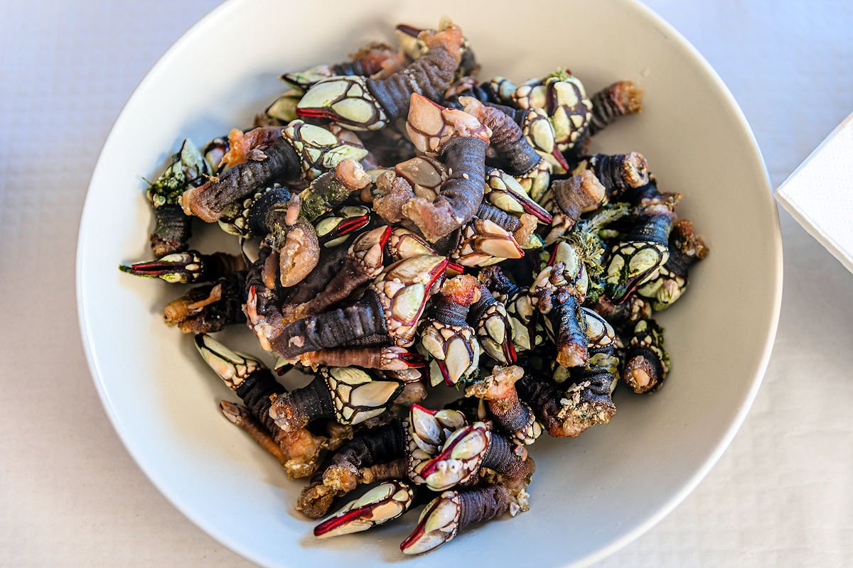 CÓMO COCER PERCEBES + TIEMPO DE COCCIÓN