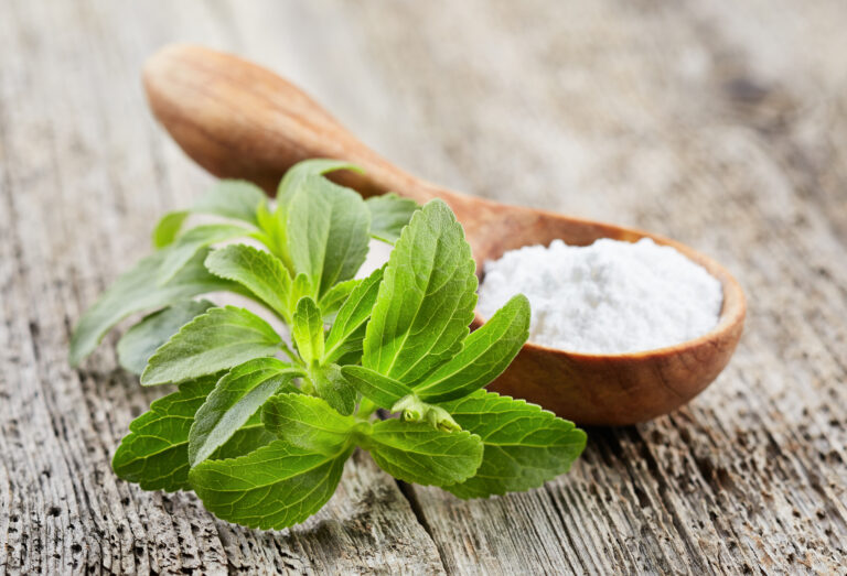 STEVIA » Propiedades, Beneficios Y Contraindicaciones