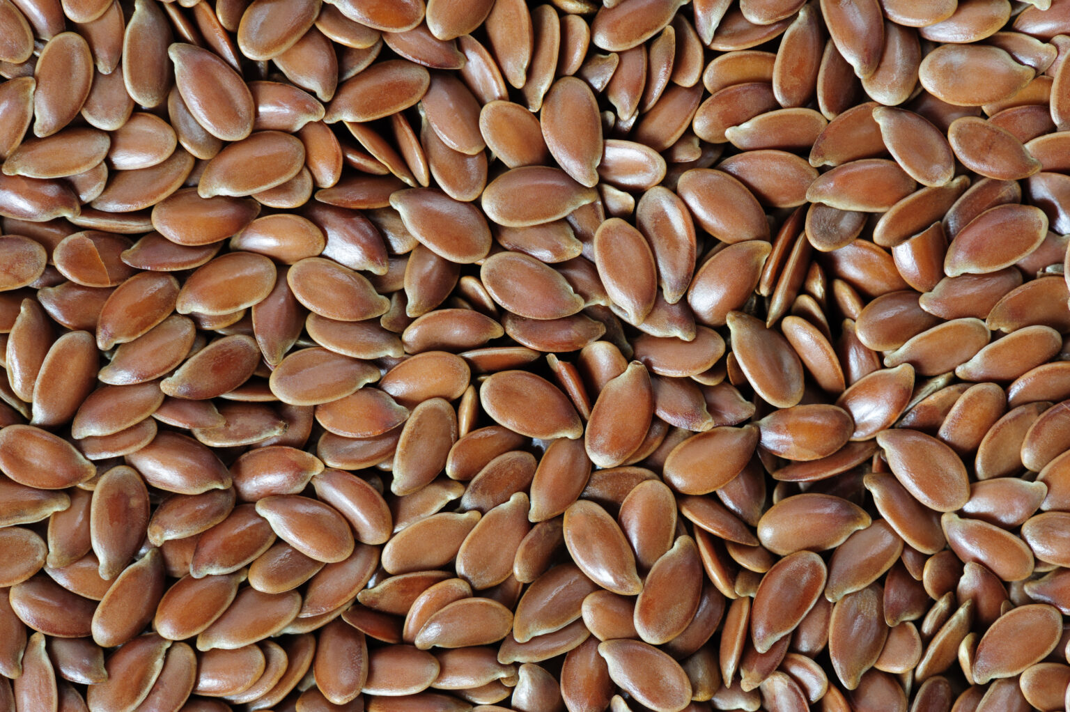 SEMILLAS DE LINO » Propiedades, Usos Y Beneficios