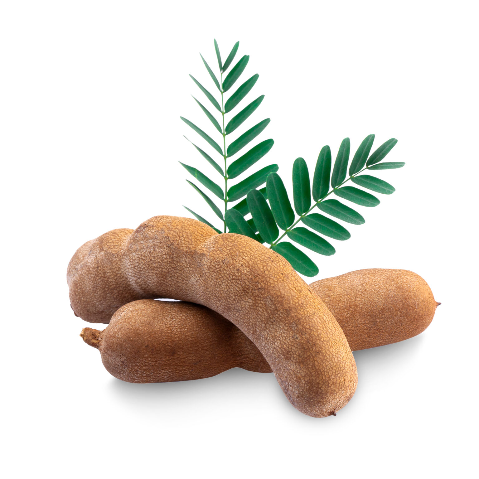 TAMARINDO » Propiedades Y Beneficios Para La Salud